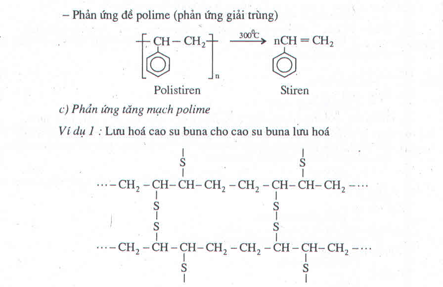 Bài 13: Đại cương về polime - Hoc24